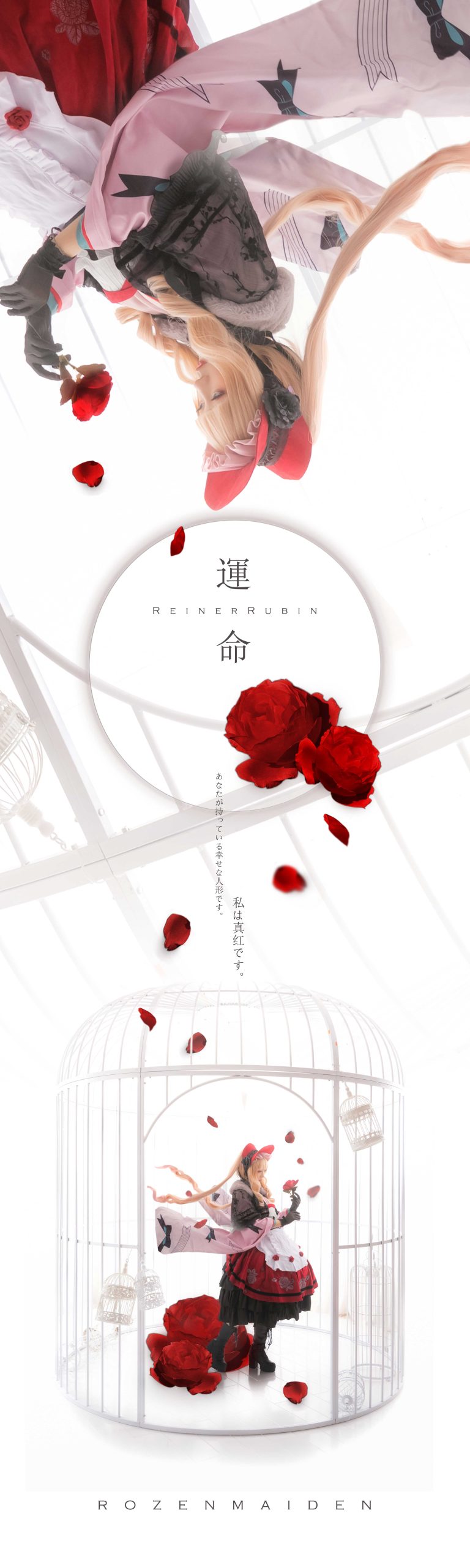 蔷薇少女 – uchen.cc